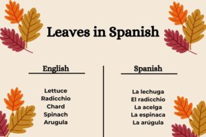 Fruits and Vegetables in Spanish: Names, Pronunciation, and Uses - Edmora