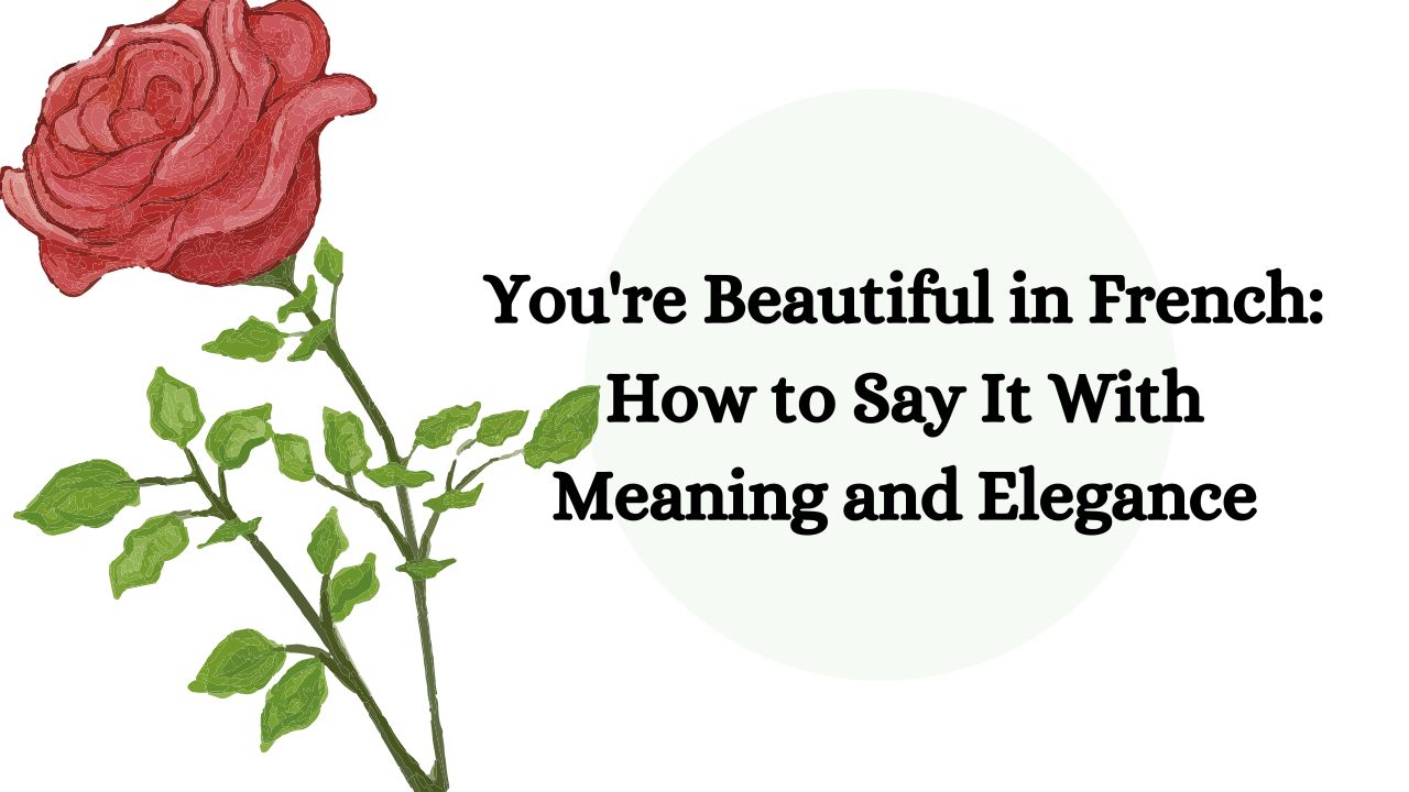 You're Beautiful in French: How to Say It With Meaning and Elegance ...