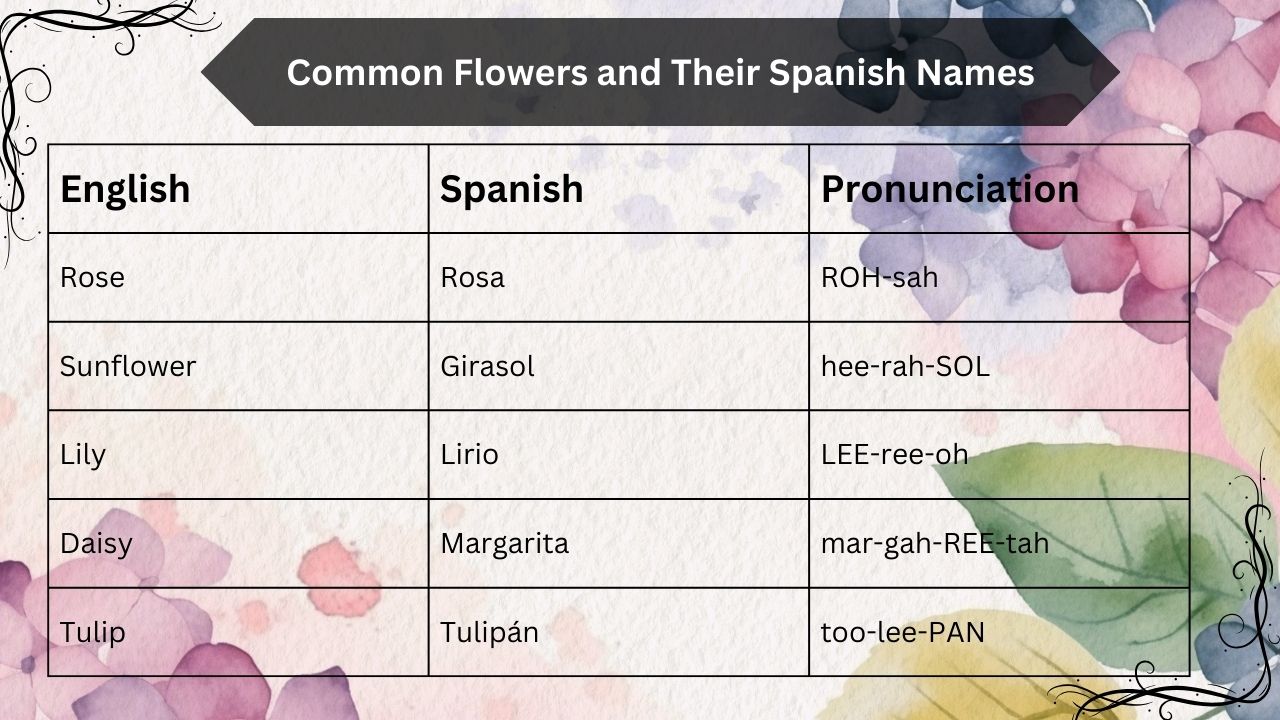 List Of 80+ Common Flowers Names In Spanish - Edmora
