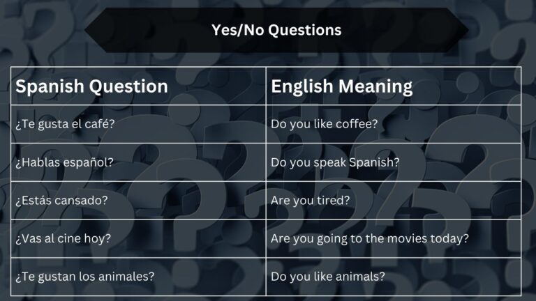 Essential Questions in Spanish: How to Ask and Understand Key Phrases ...