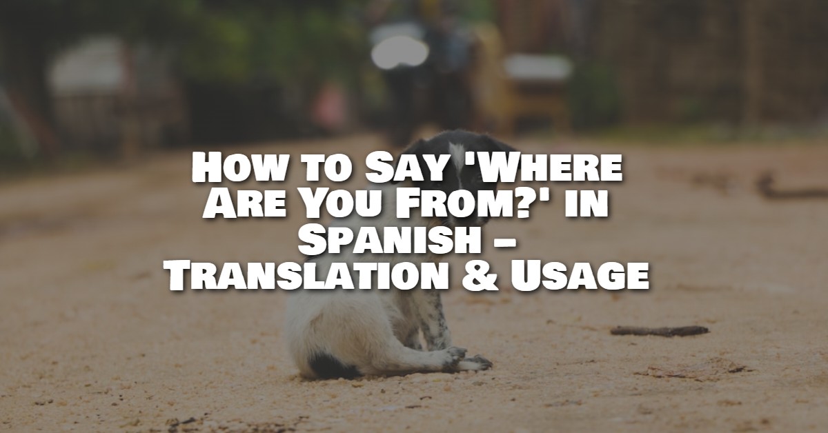 How to Say 'Where Are You From?' in Spanish – Translation & Usage - Edmora