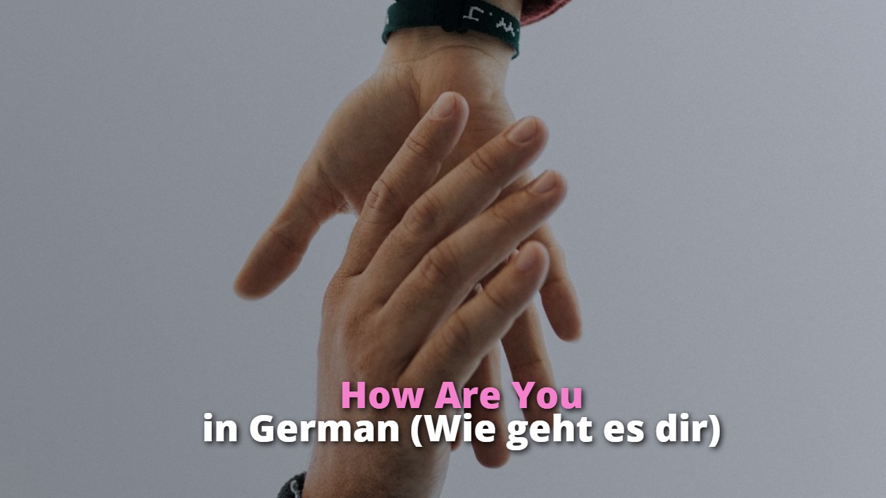 How To Say How Are You In German Common Phrases Meanings Edmora