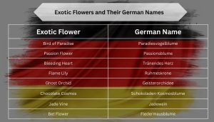 German Flower Vocabulary: 50+ Names of Flowers With Pronunciation Guide ...