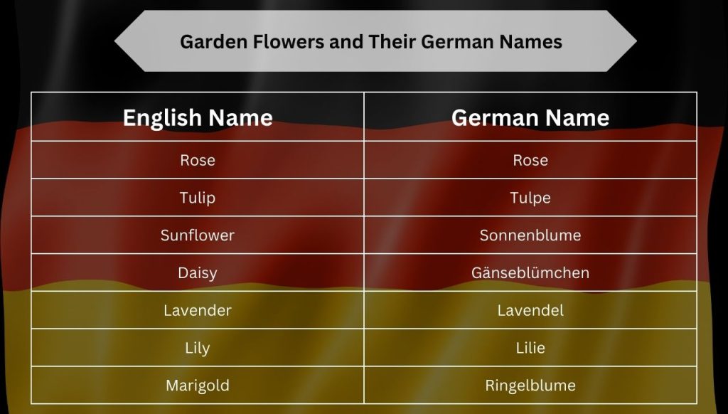 German Flower Vocabulary: 50+ Names of Flowers With Pronunciation Guide ...