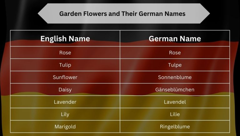 German Flower Vocabulary: 50+ Names of Flowers With Pronunciation Guide ...
