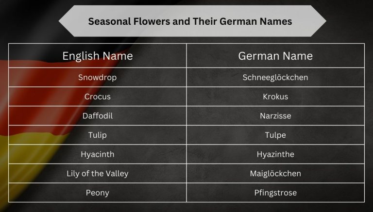 German Flower Vocabulary: 50+ Names of Flowers With Pronunciation Guide ...